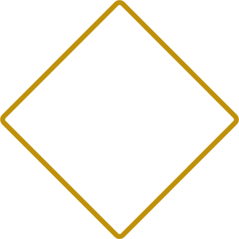 Electronic Trial Master File – DHC VISION